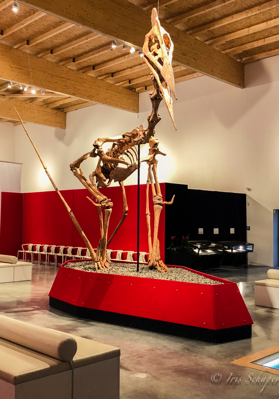 Im Tal der Dinosaurier: Deutschlands Jurassic Park